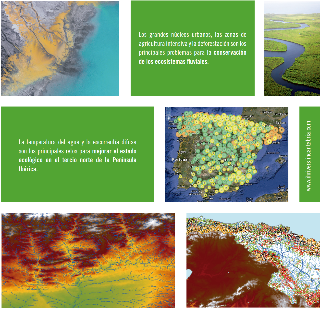 Fluvial ecosystems